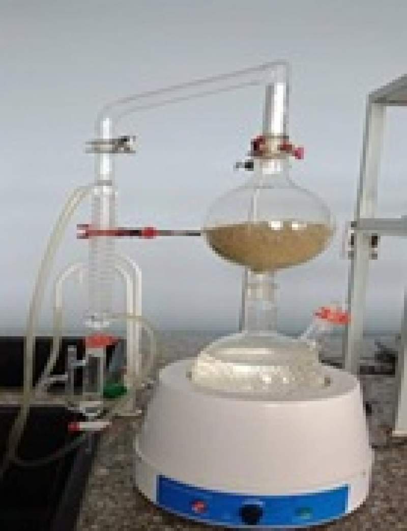 The extraction of rosemary essential oil by steam distillation method ...